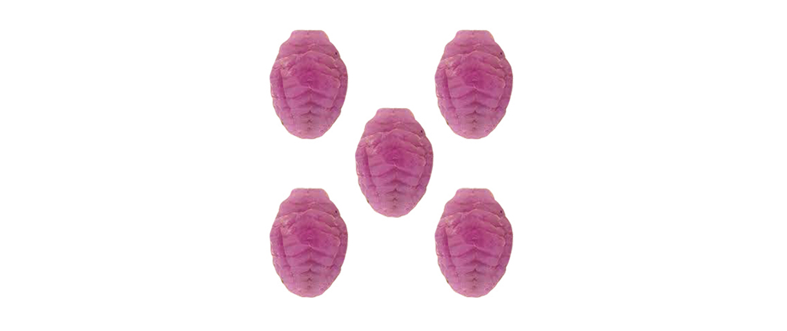 Ground Pearls