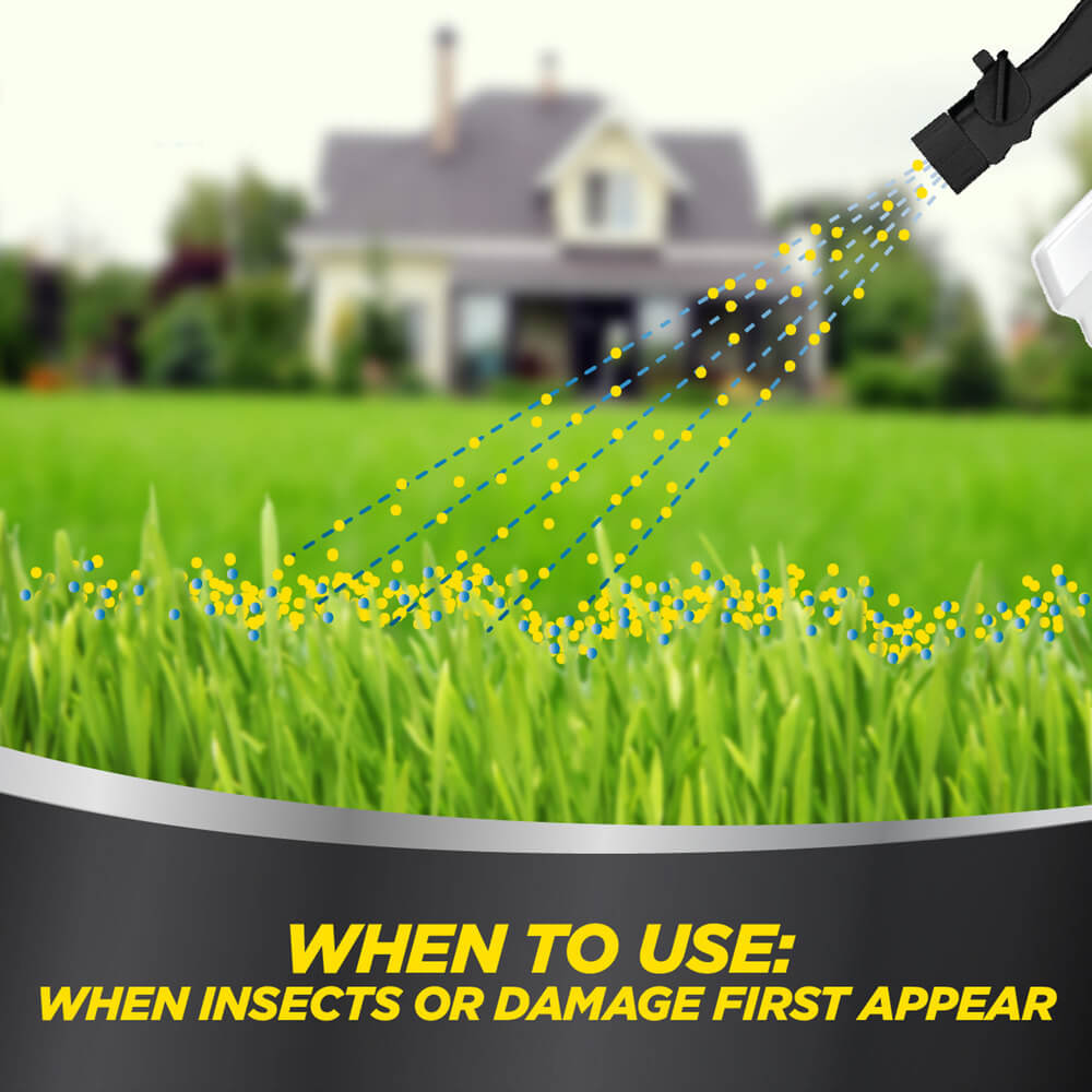 Amdro Quick Kill Outdoor Insect Killer RTS Amdro Quick Kill Outdoor Insect Killer RTS