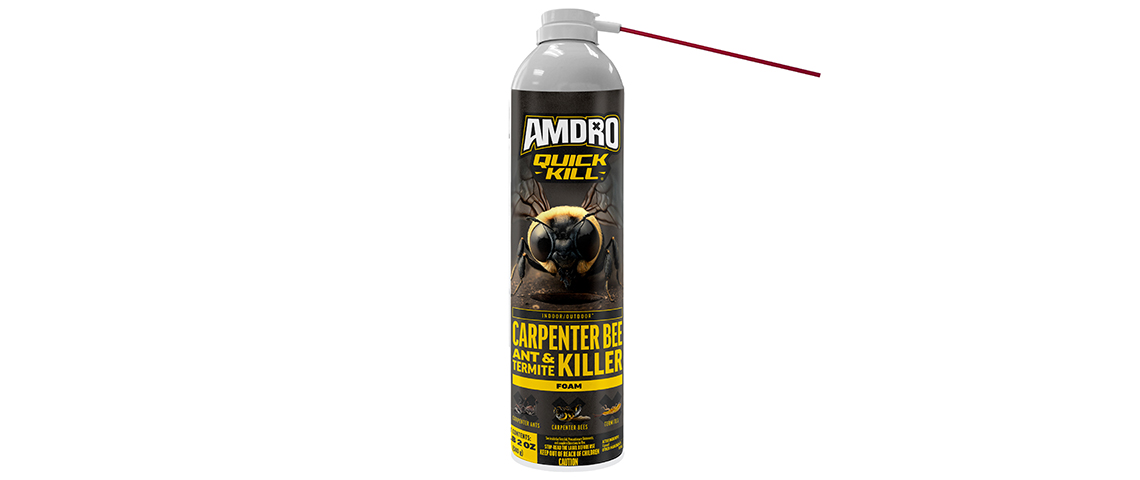 Amdro Quick Kill® Carpenter Bee, Ant & Termite Killer Foam